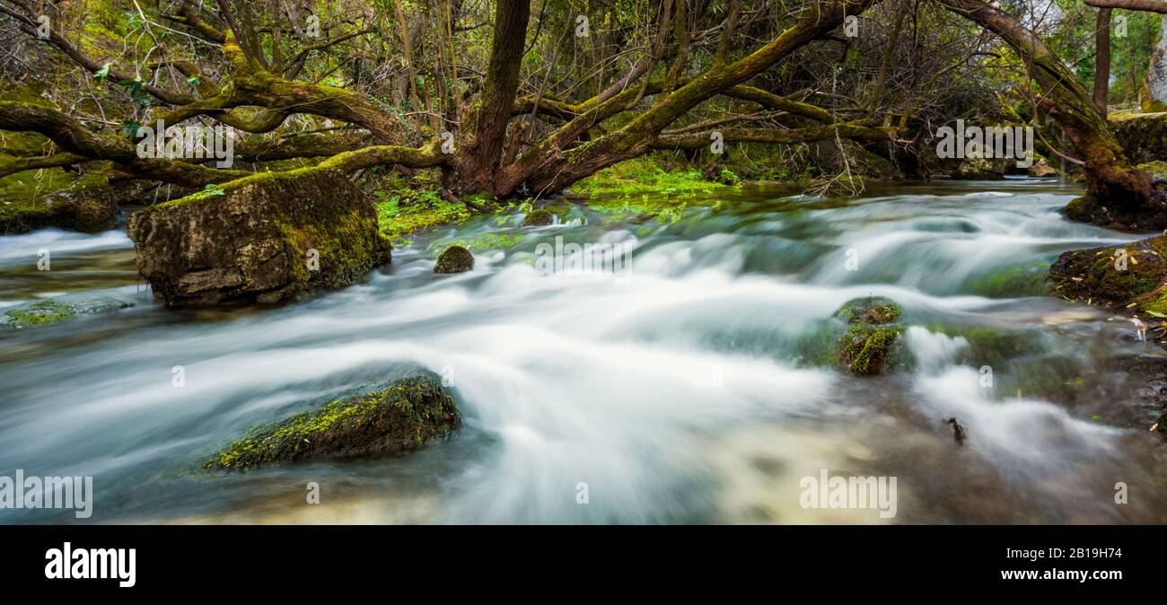 Emerald water that flows fast on the rocks of a river inside a canyon ...