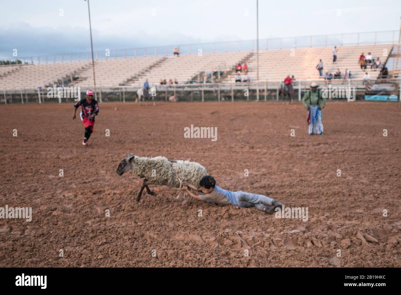 Kids riding sheep hi-res stock photography and images - Alamy