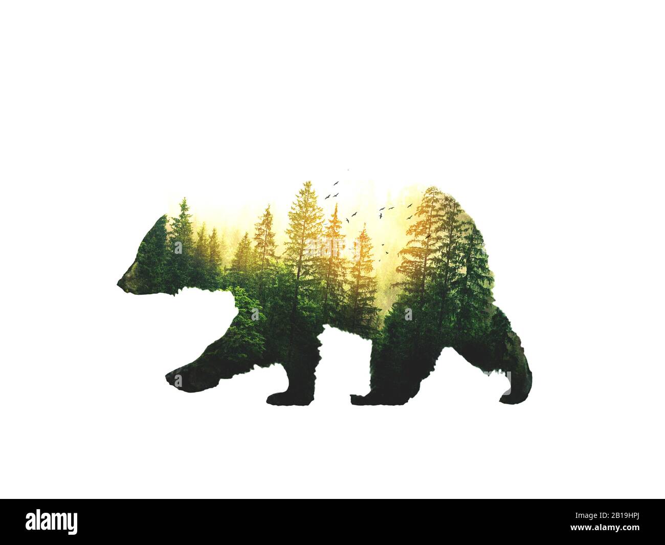 Bear and forest double exposure, concept of powerful nature Stock Photo ...