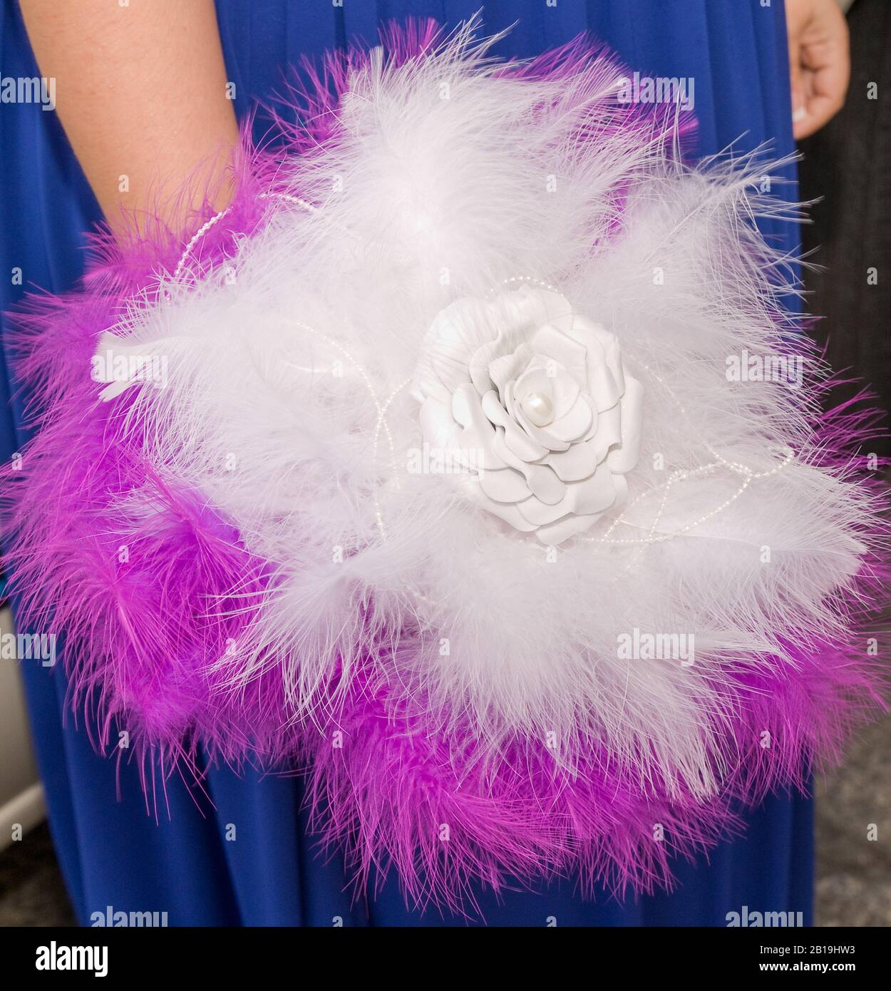 Purple feathers hi-res stock photography and images - Alamy