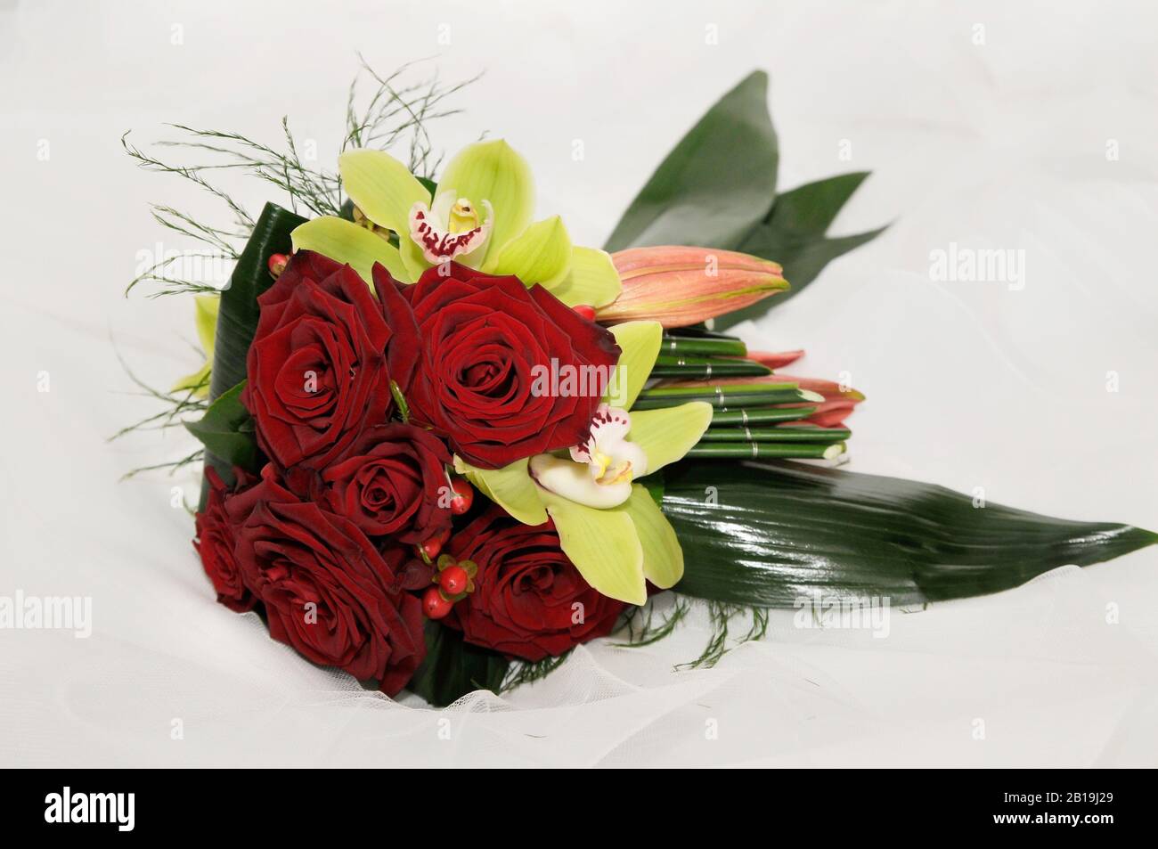 Orchids Seeds High Resolution Stock Photography and Images - Alamy