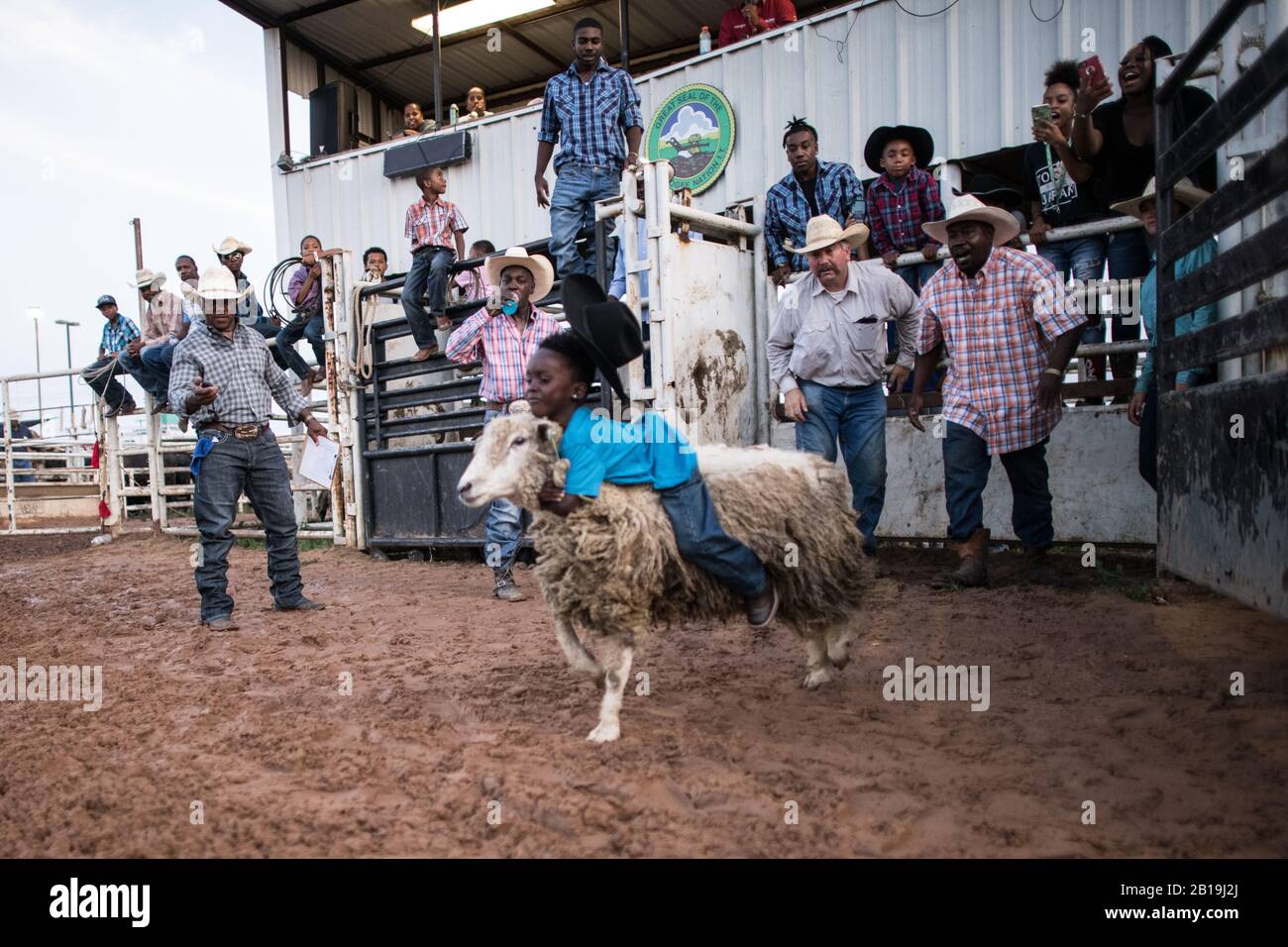 Kids riding sheep hi-res stock photography and images - Alamy