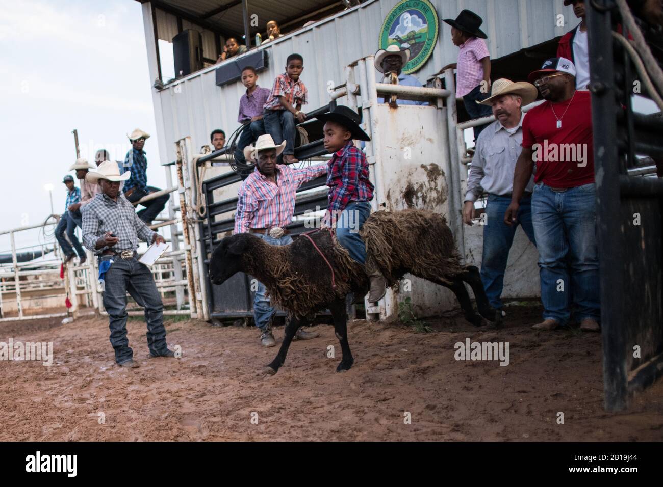 African american cowboy rodeo hi-res stock photography and images - Alamy