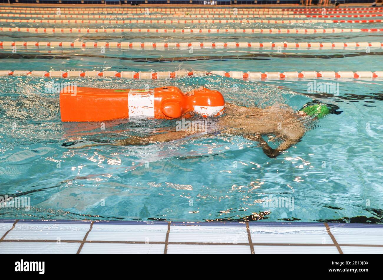 Lifeguard training with rescue dummy in a pool Stock Photo - Alamy