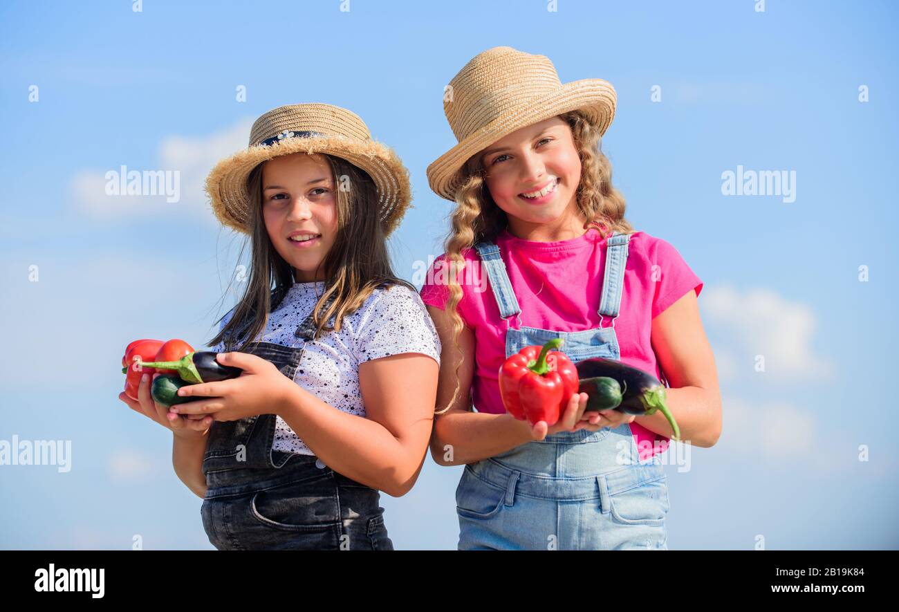 Girls cute children in hats farming. Kids gathering vegetables. Selling ...