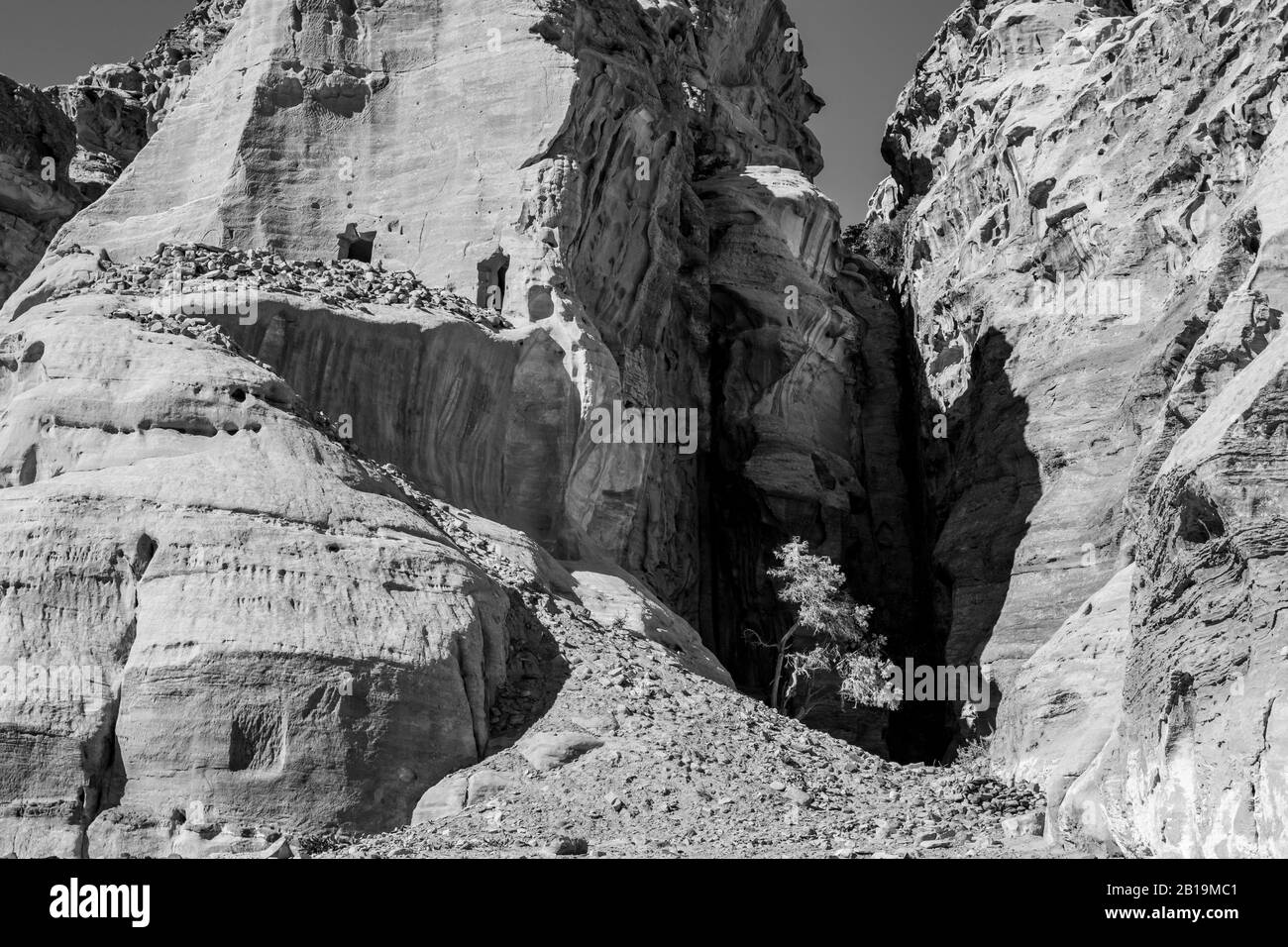 Lonely tree growing between cliffs near the scenery Street of Facades ...