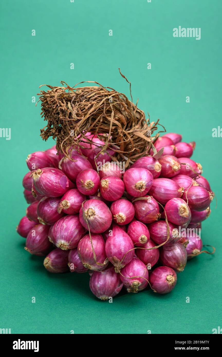 Bunch of high quality small red shallot sambar onions from India on ...