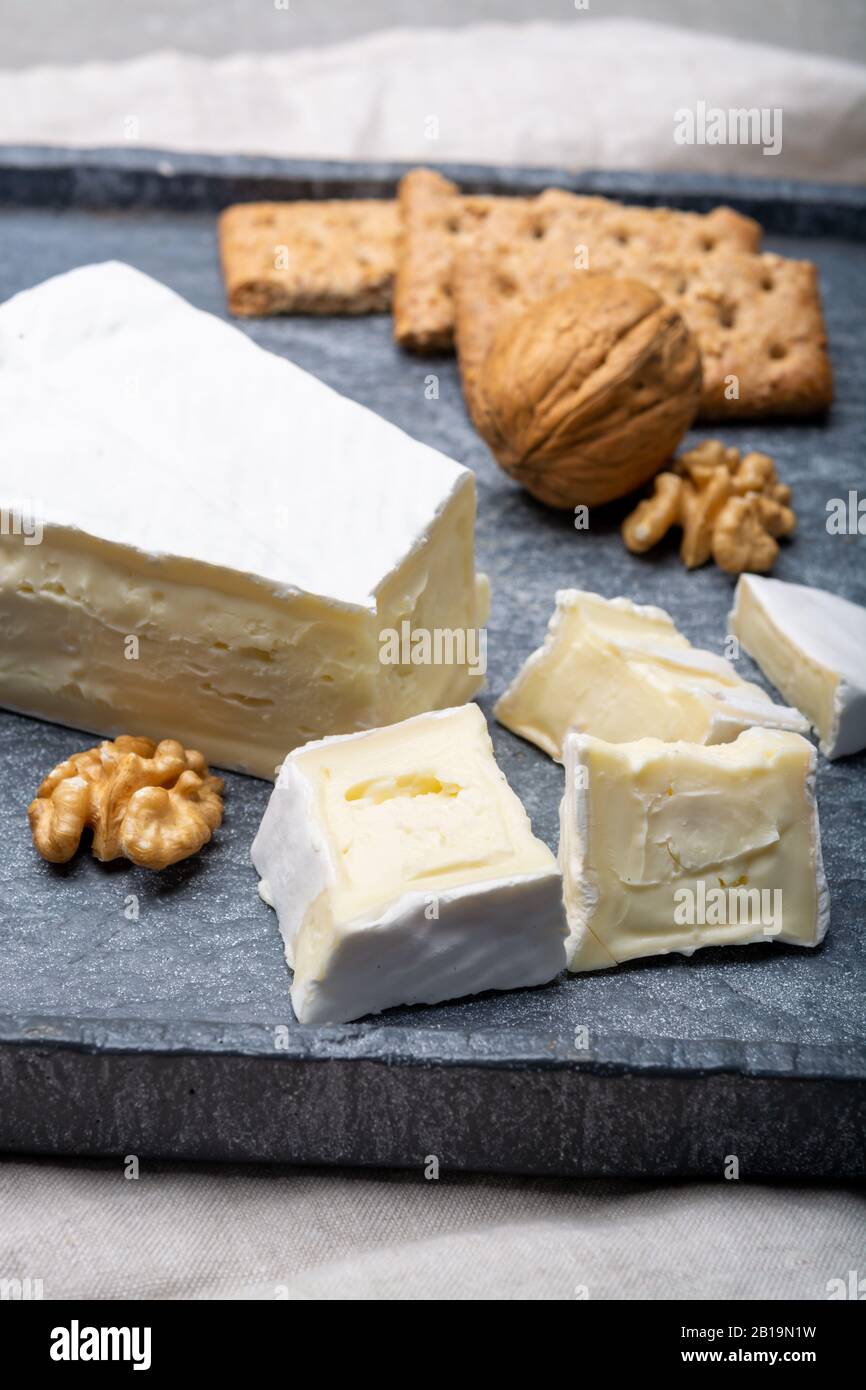 Cheese collection, piece of French brie cheese with white mold close up ...