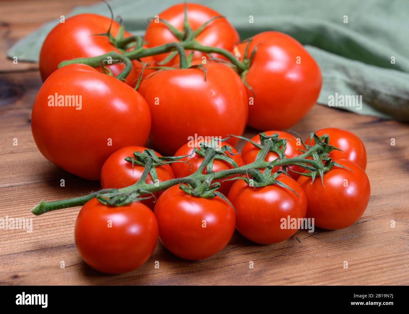 Red ripe tasty Dutch tomatoes growing indoor in greenhouse all seasons ...
