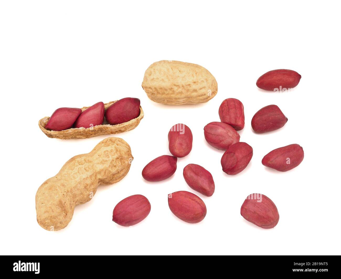 Cracked peanut shell hi-res stock photography and images - Alamy