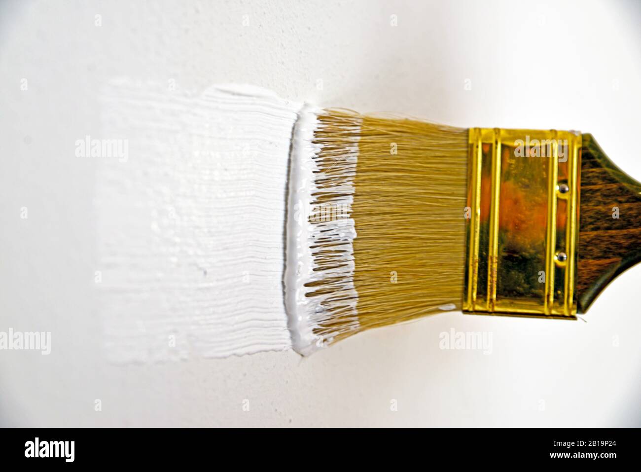 A brush is painting a wall with white varnish Stock Photo - Alamy