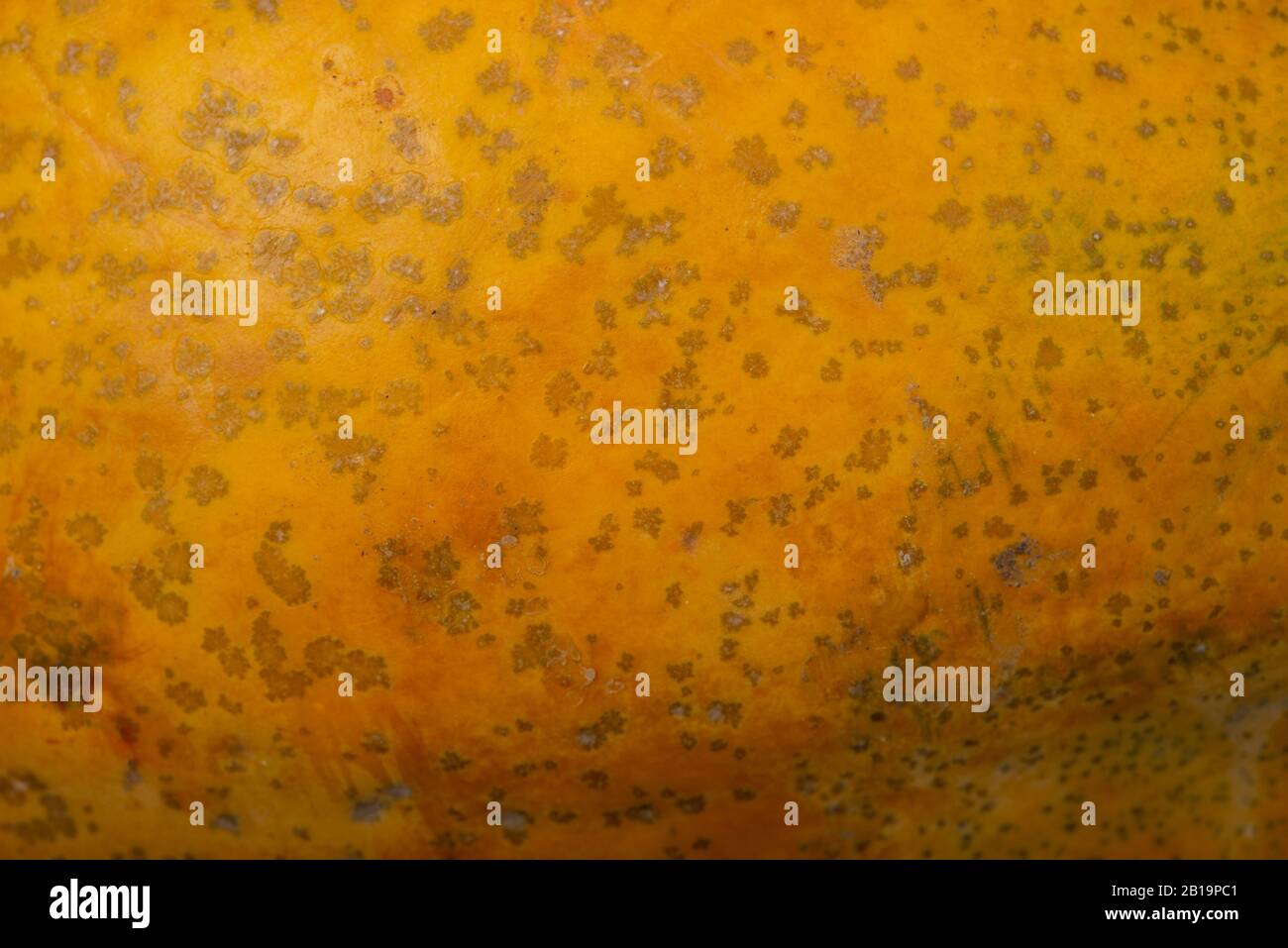 Close up photo of papaya skin texture on yellow background Stock Photo ...