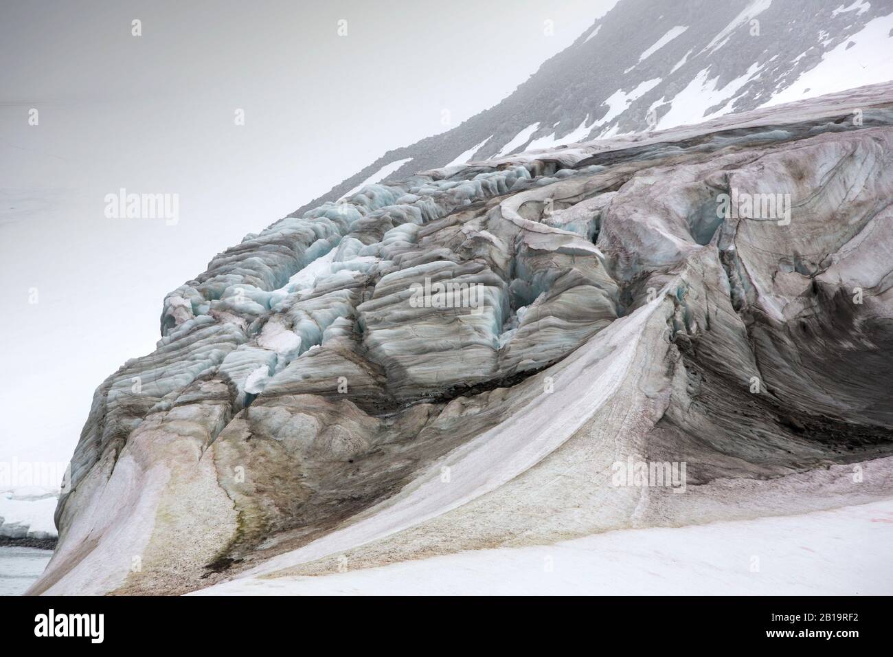 The snout of a receding glacier at Fort Point, on Greenwich Island in ...