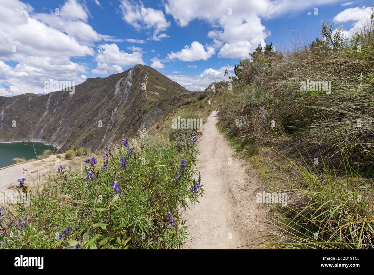 Lake Quilotoa. Panorama of the turquoise volcano crater lagoon of ...