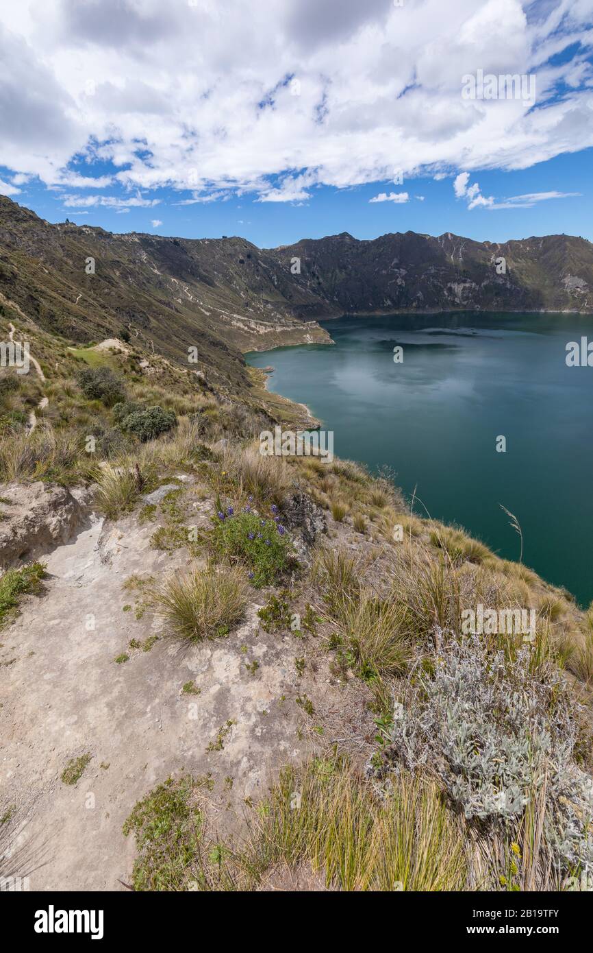 Lake Quilotoa. Panorama of the turquoise volcano crater lagoon of ...