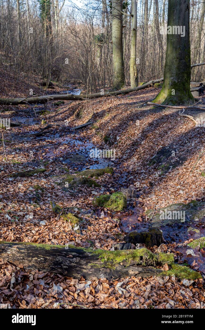 Mecsek mountains hi-res stock photography and images - Alamy