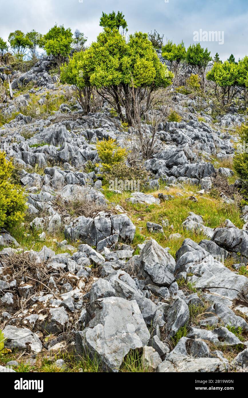 Marble rocks on Canaan Road, off Abel Tasman National Park, Tasman ...