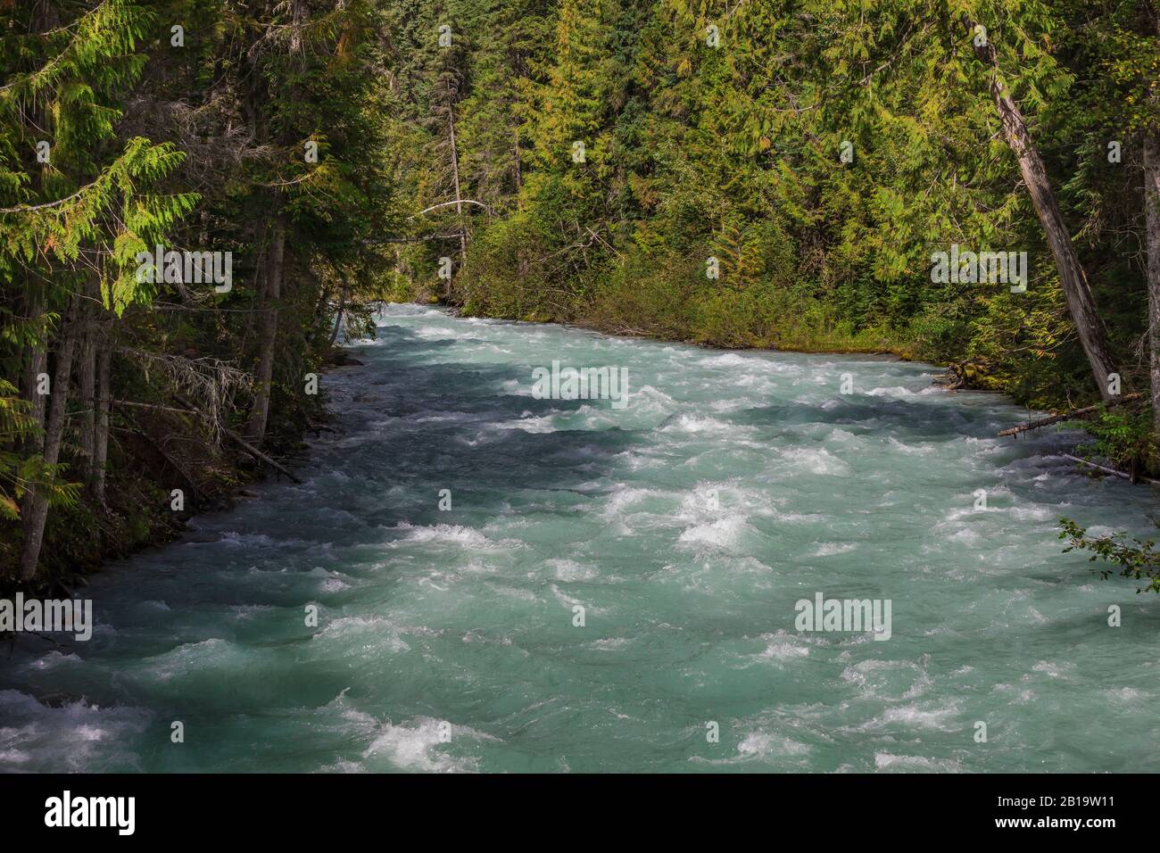 Spray lake provincial park hi-res stock photography and images - Alamy