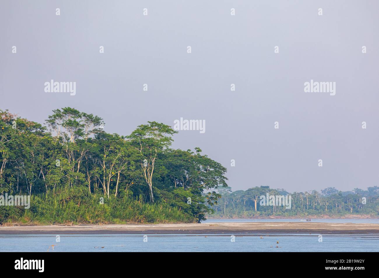 Amazing scenic view Tropical forest with jungle river on background ...