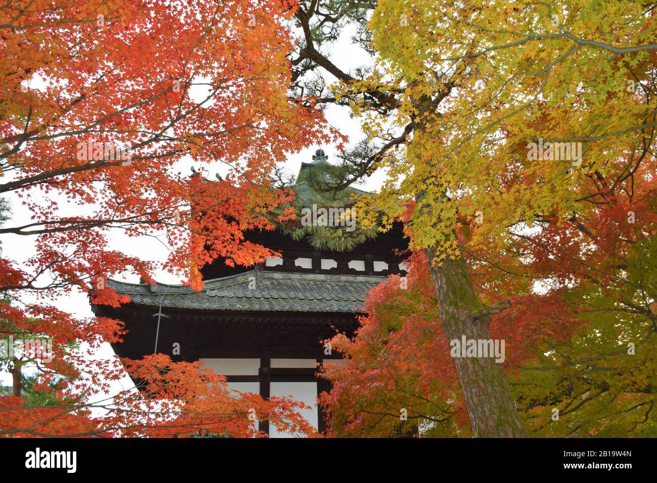 Wallpaper autumn scenery hi-res stock photography and images - Alamy