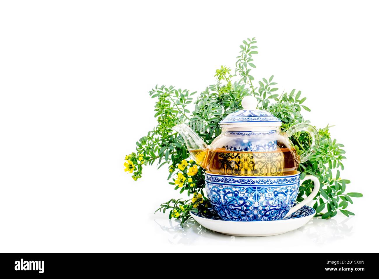 Rue infusion ( Ruta Graveolens ) . Cup, teapot and rue plant on white ...
