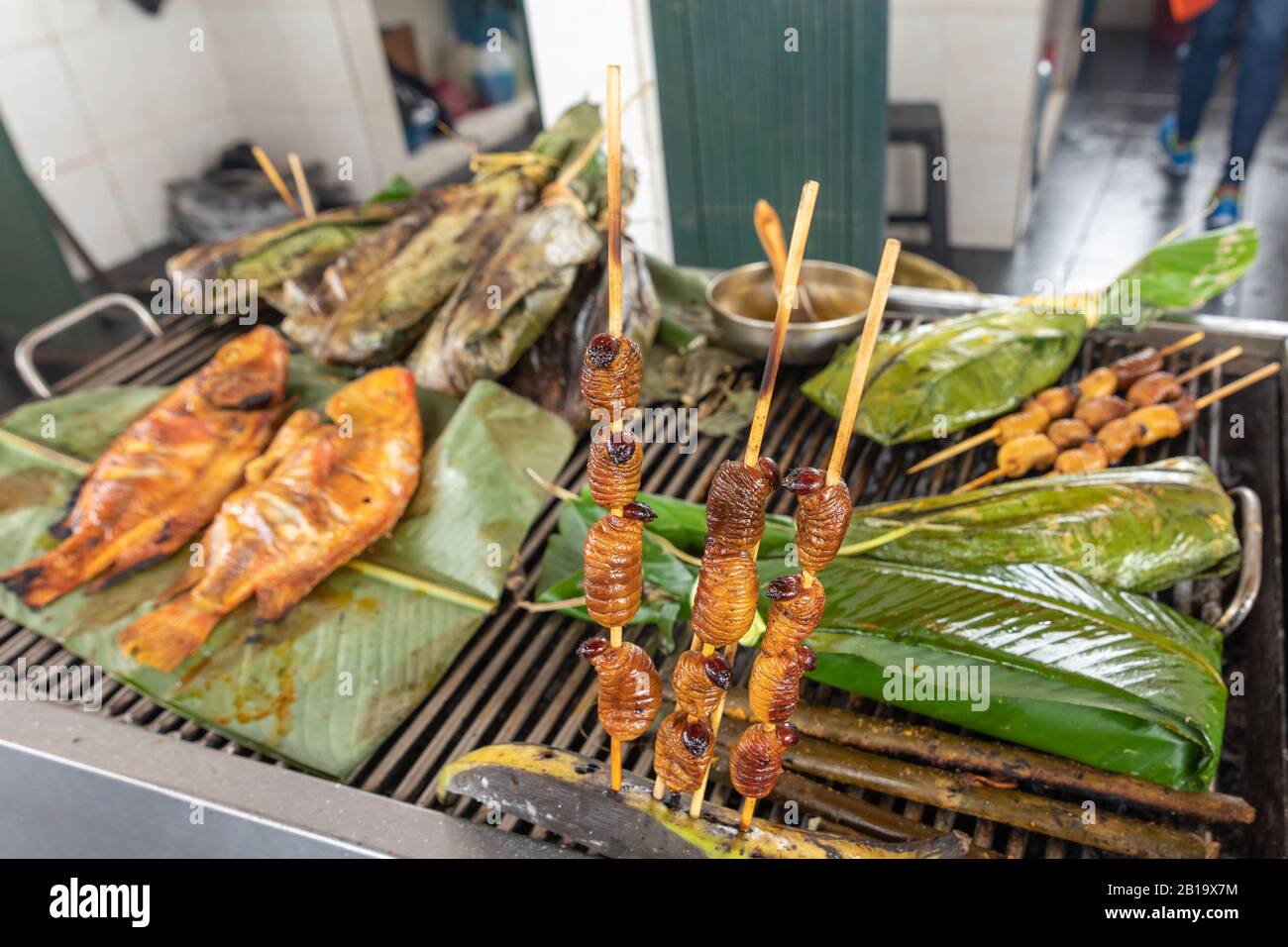 Edible palm weevil larvae (Rhynchophorus phoenicis) at traditional food ...