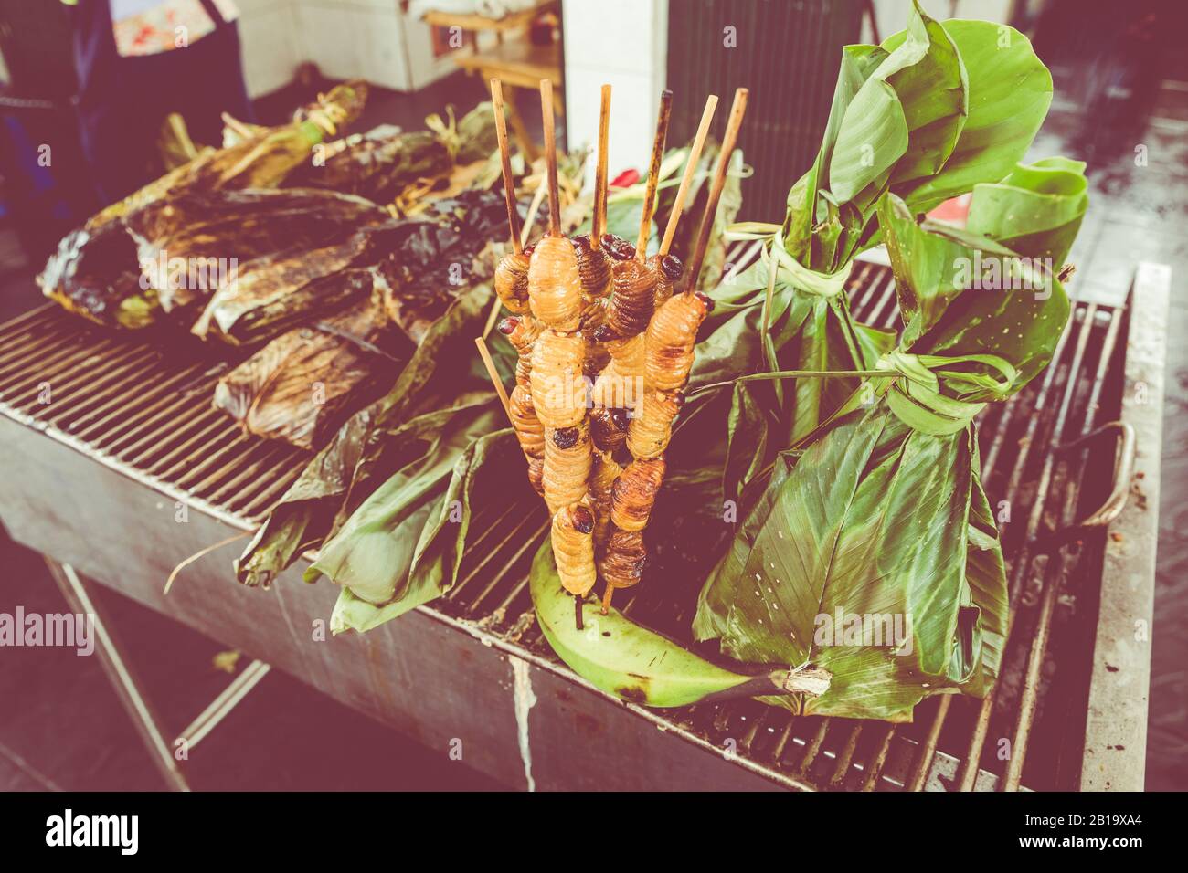Edible palm weevil larvae (Rhynchophorus phoenicis) at traditional food ...