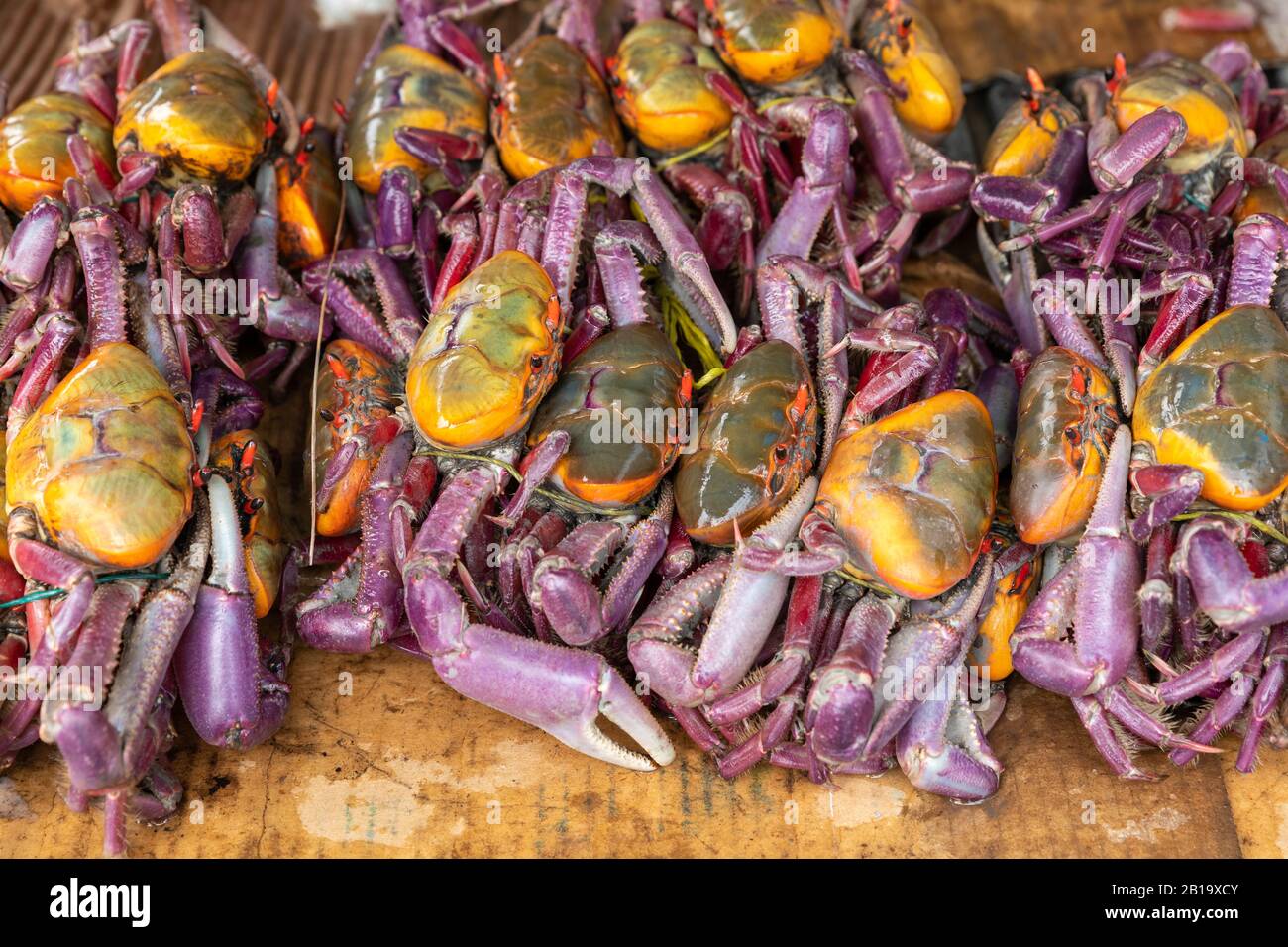 Local crabs hi-res stock photography and images - Alamy