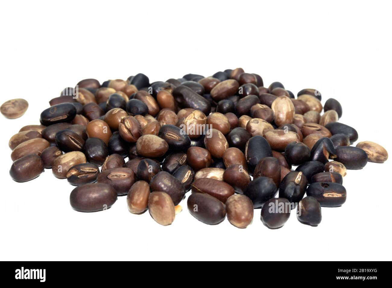 Pea seeds on white background Stock Photo - Alamy