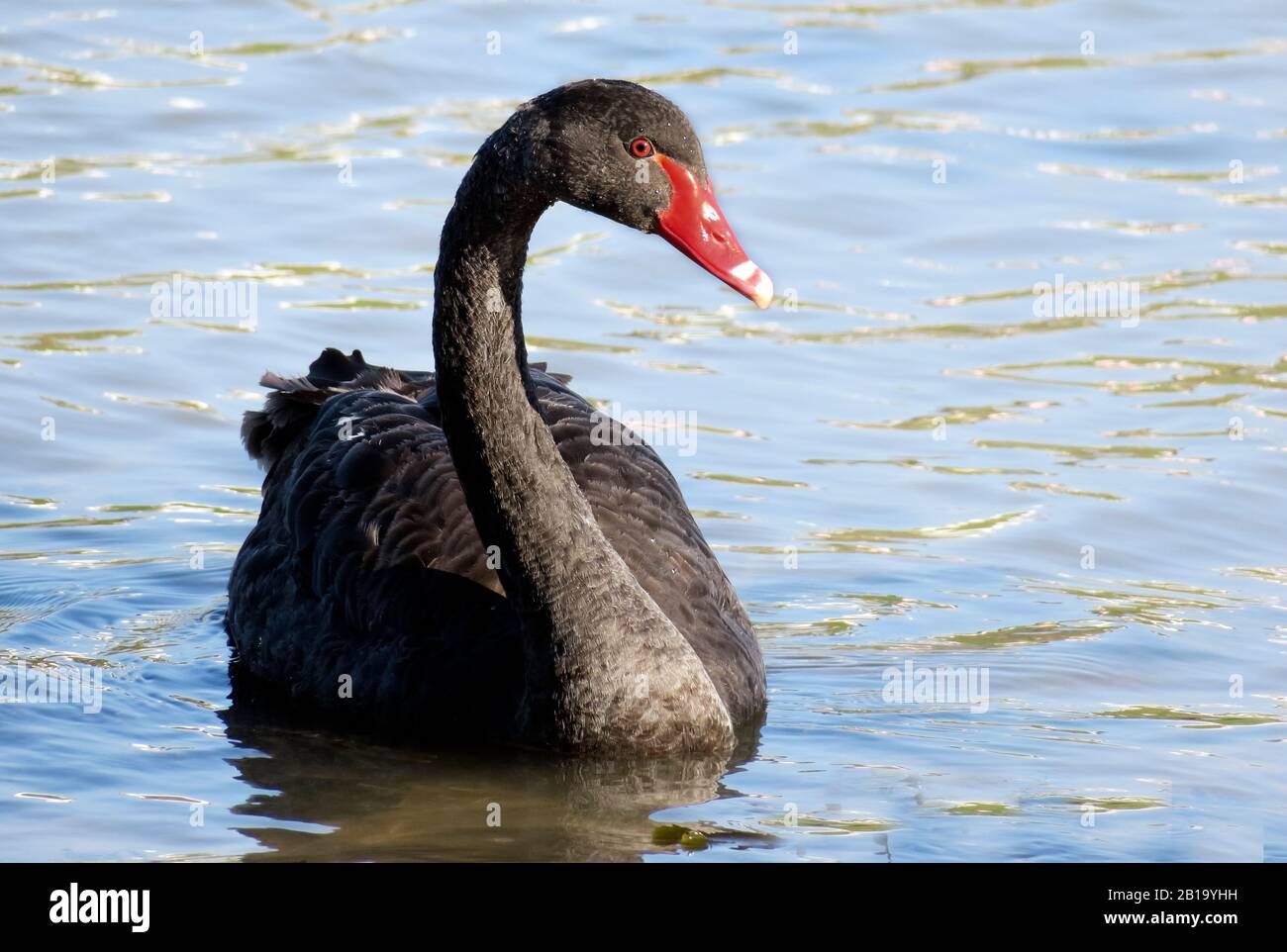 Welsh coastal hi-res stock photography and images - Alamy