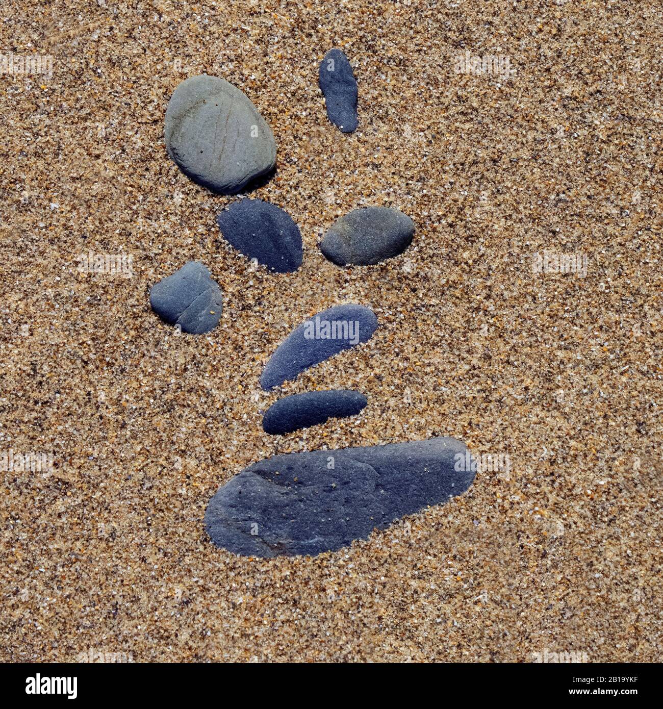 Colour photograph of coastal stones on beach smoothed and rounded by ...