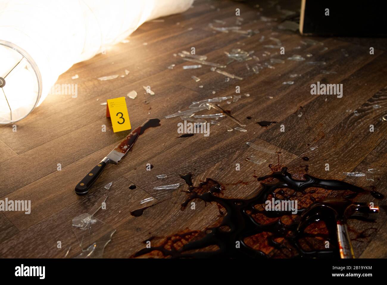 Homicide/Burglary - CSI Crime Scene Photography - Bloodied Weapons and ...