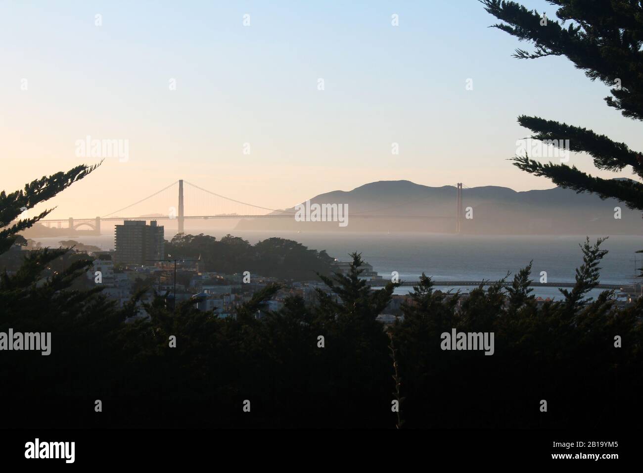 The Golden Gate bridge behind the trees Stock Photo - Alamy