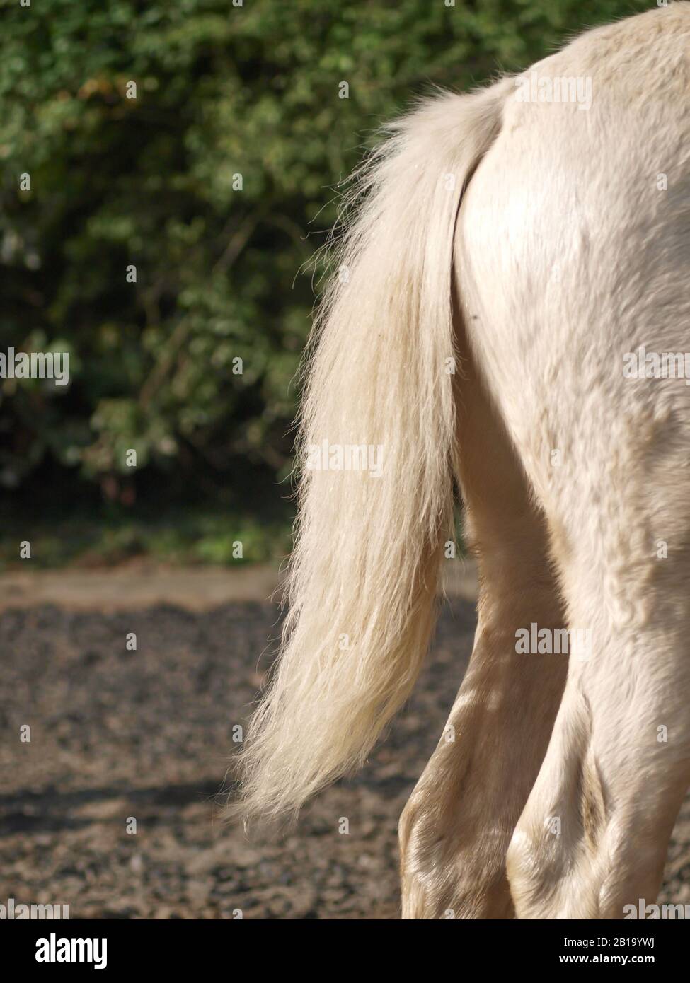 Abstract type hi-res stock photography and images - Alamy