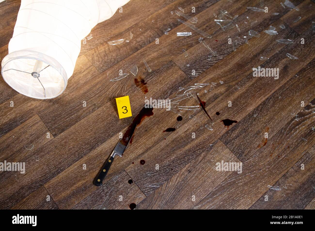 Homicide/Burglary - CSI Crime Scene Photography - Bloodied Weapons and ...