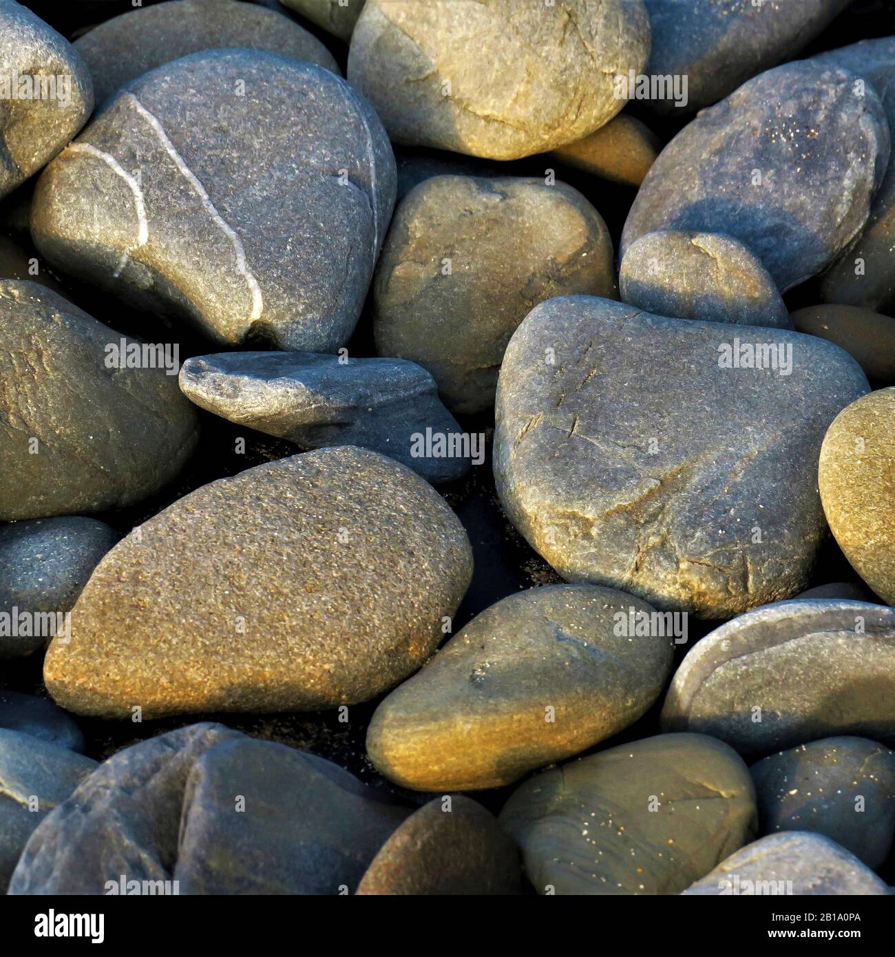 Cobble stones and pebbles on rock strewn beach Stock Photo - Alamy
