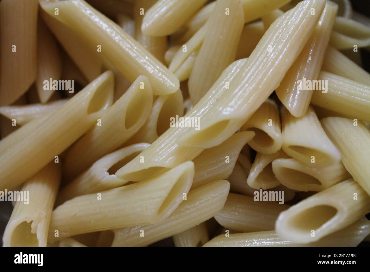 Italian lunch - penne pasta , closeup Stock Photo - Alamy