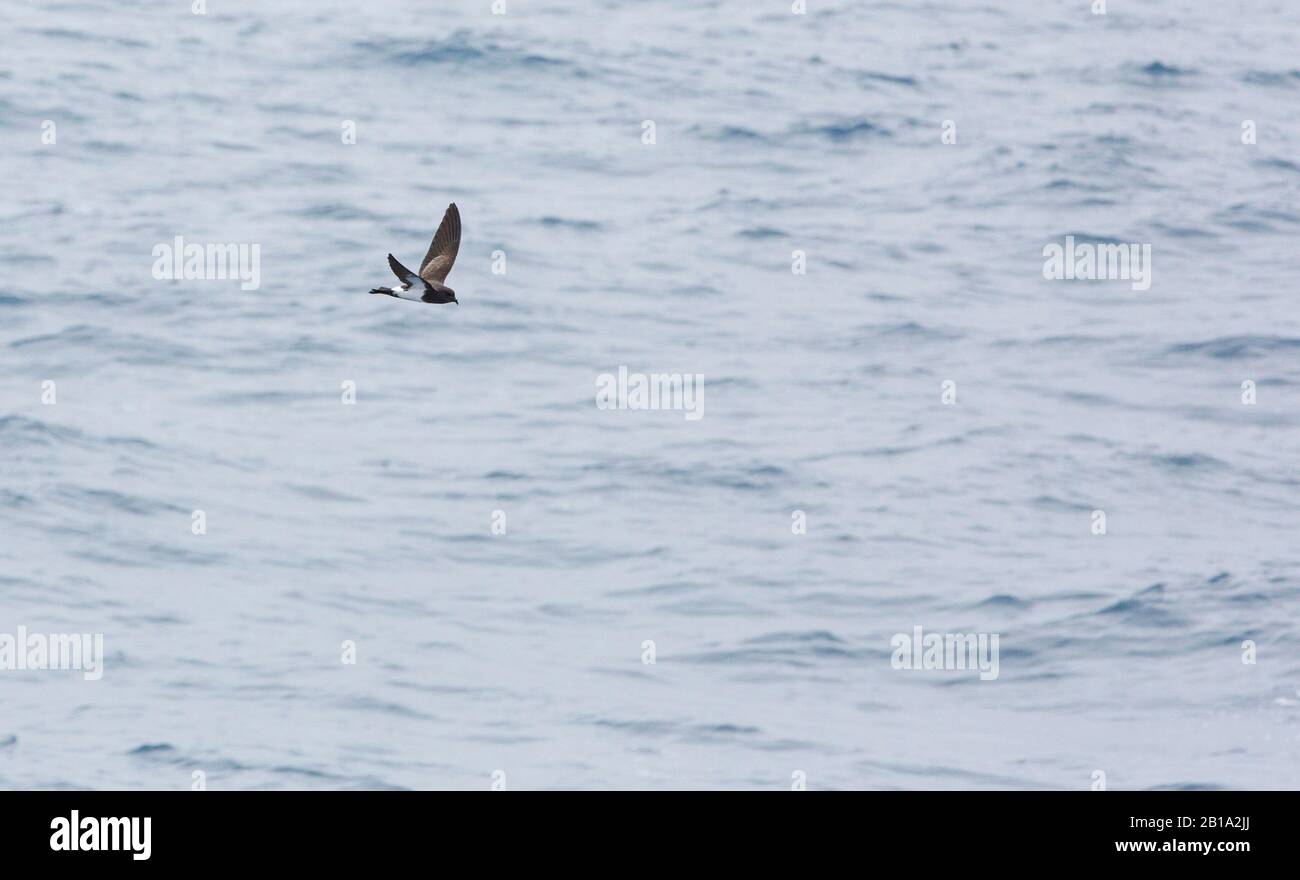 Drake passage storm hi-res stock photography and images - Alamy