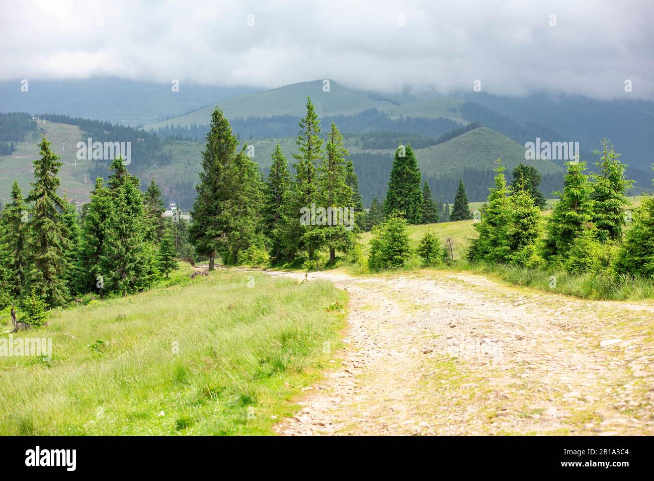 Green hills of Rodna National Park, wild romanian mountains, trekking ...