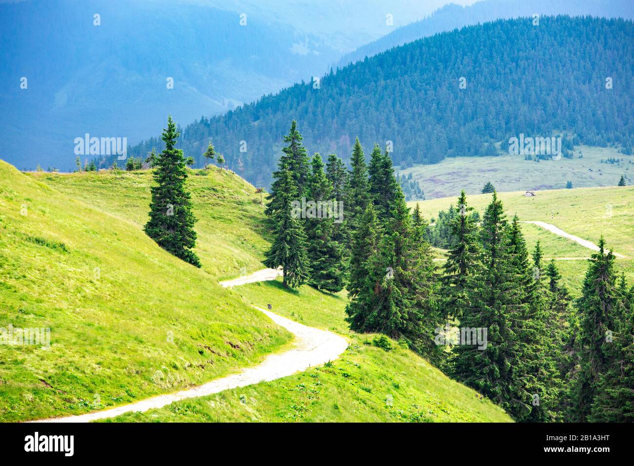 Green hills of Rodna National Park, wild romanian mountains, trekking ...