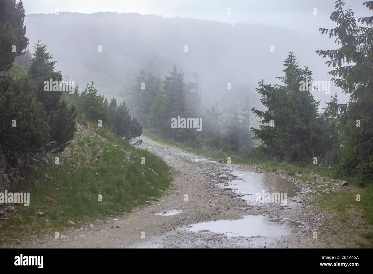 Rodna national park hi-res stock photography and images - Alamy