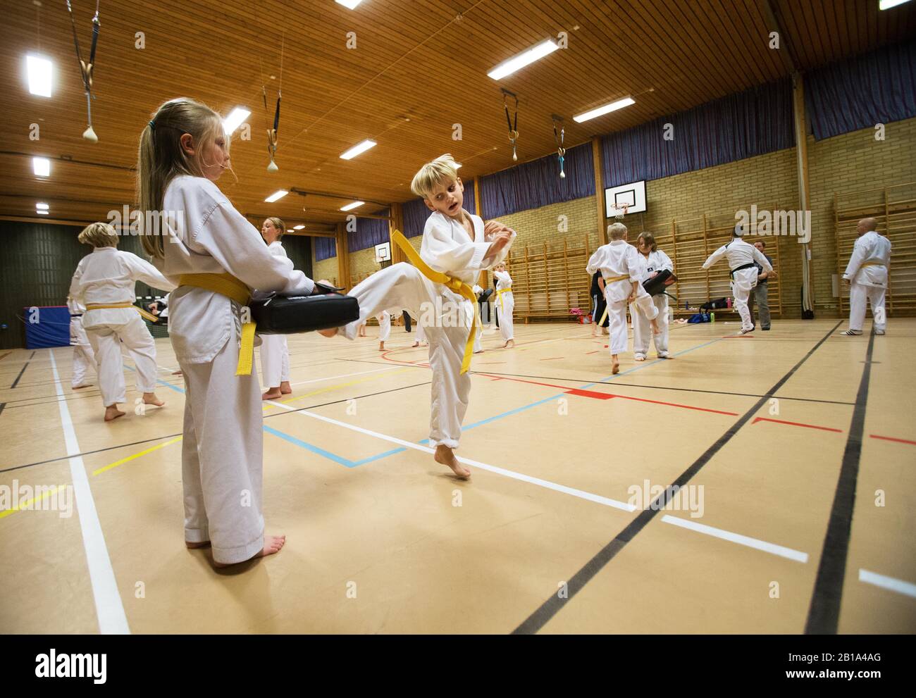 Taekwondo Kicking Techniques Taekwondo: Taekwondo Kicks & Fight