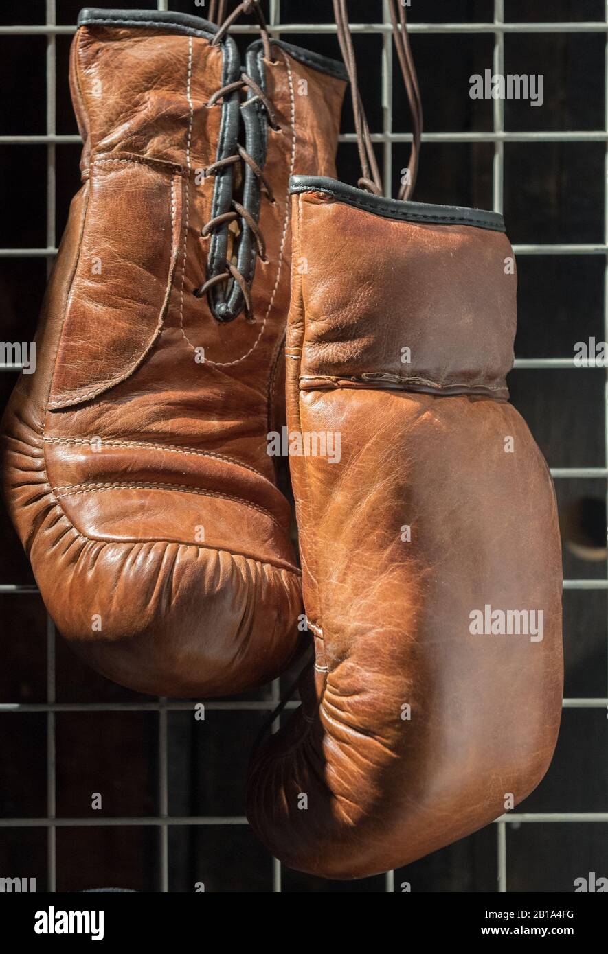 Boxing Gloves Hanging Up with Wire Grid Background Stock Photo - Alamy