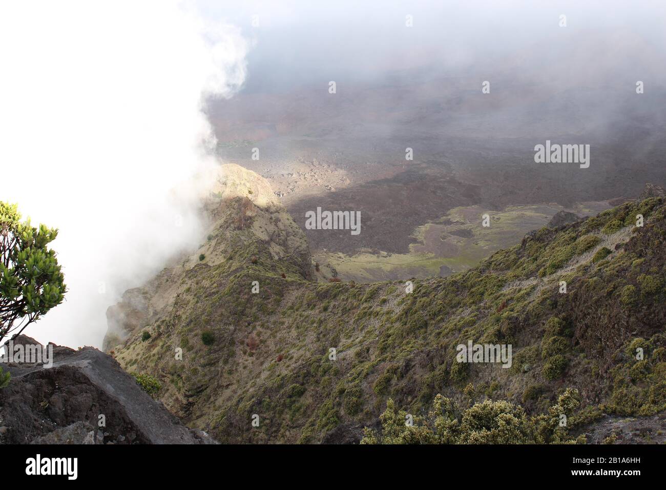 Dormant ecosystem hi-res stock photography and images - Alamy