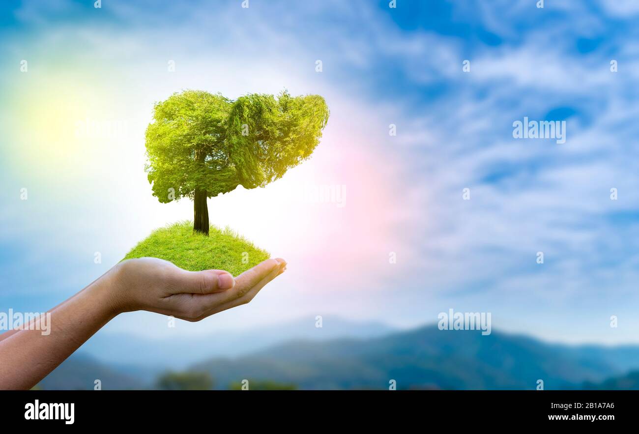 Illustration of a tree in the shape of a liver (environment and ...