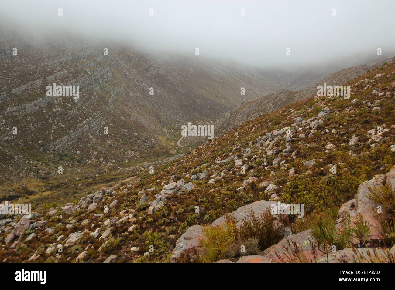 Landscape in clouds on Matroosberg, Western Cape, South Africa Stock ...