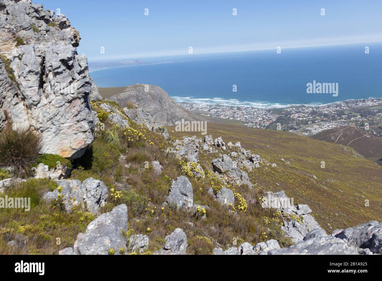 Fynbos in Fernkloof Nature Reserve, Western Cape, South Africa Stock ...