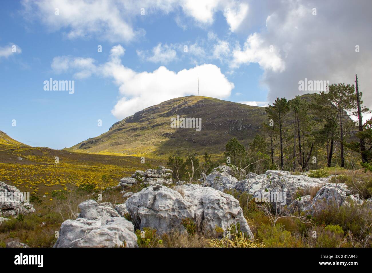 Fynbos landscape at Silvermine Nature Reserve, Western Cape, South ...