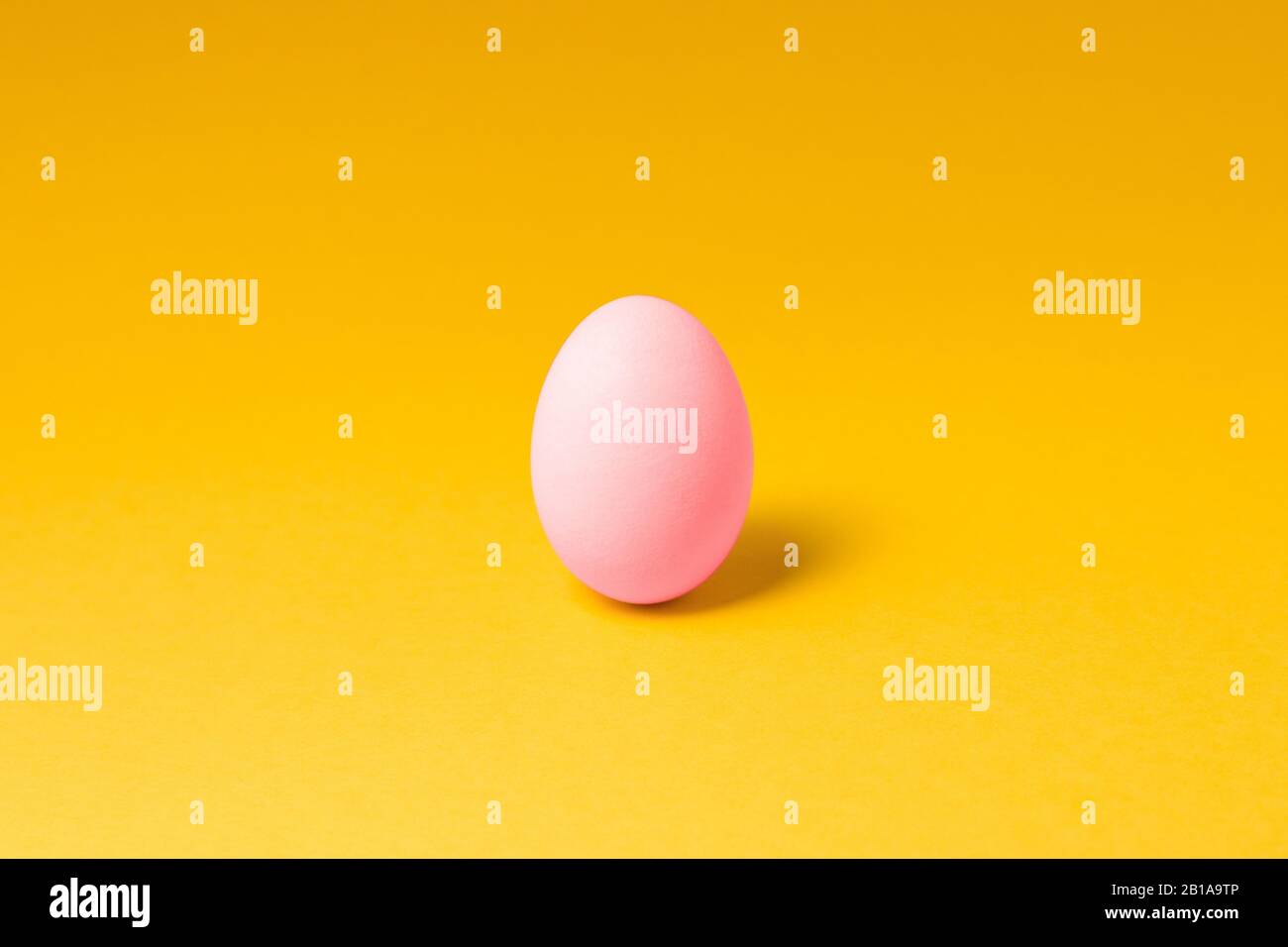 one pastel pink color egg in center on yellow background. easter ...