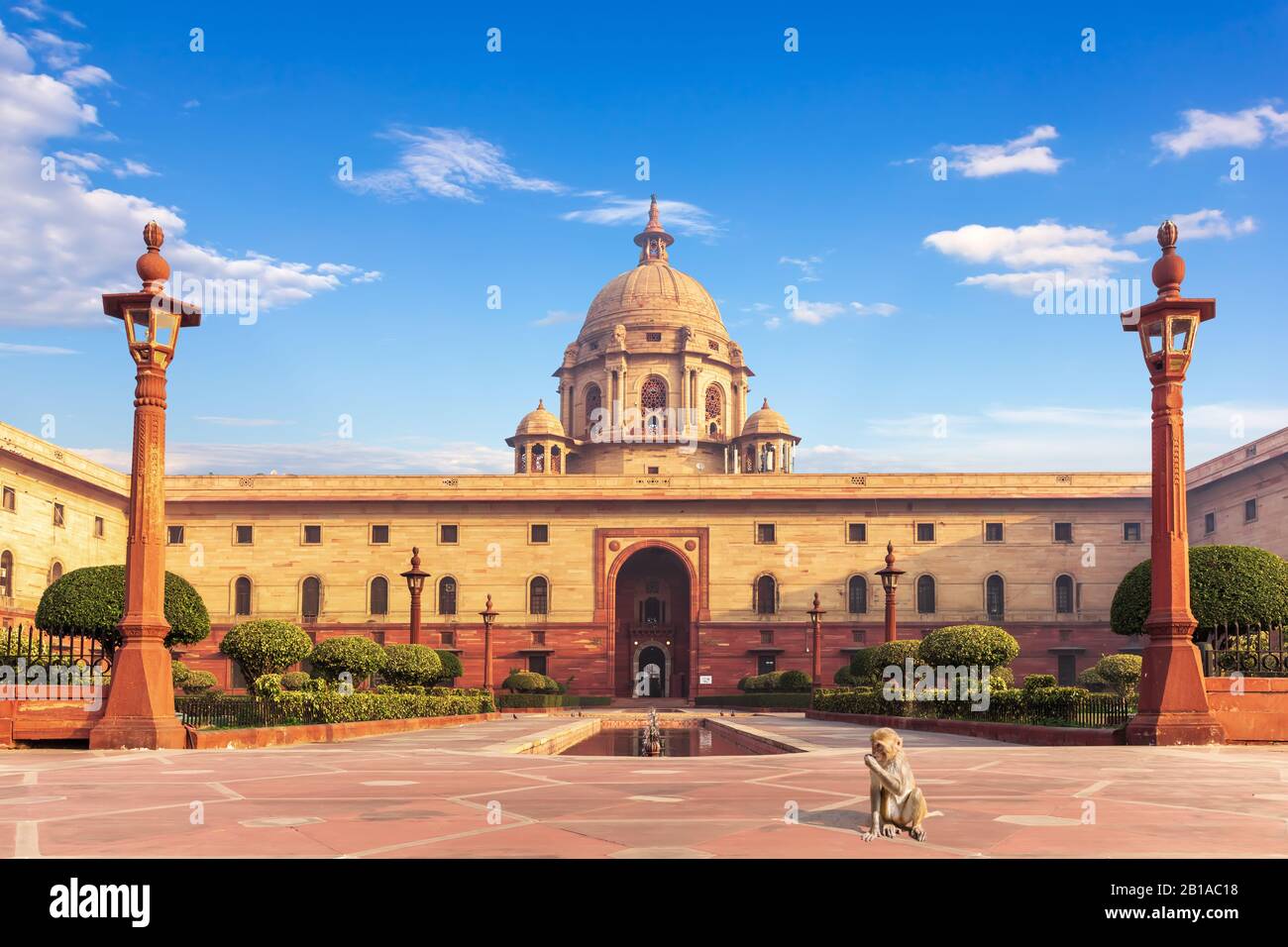 A monkey near the Rashtrapati Bhavan, the Presidential palace in New ...